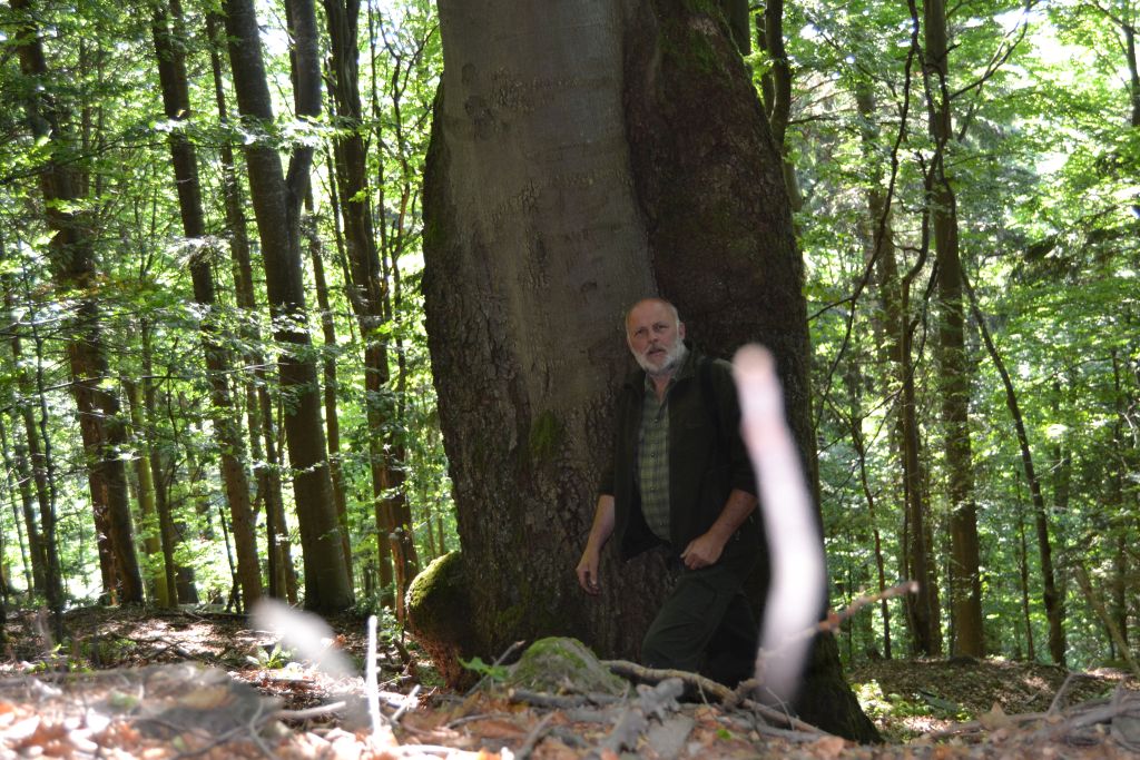 Rozhovor: Iba kvalifikovaný lesník vie zachovať les pre ďalšie generácie